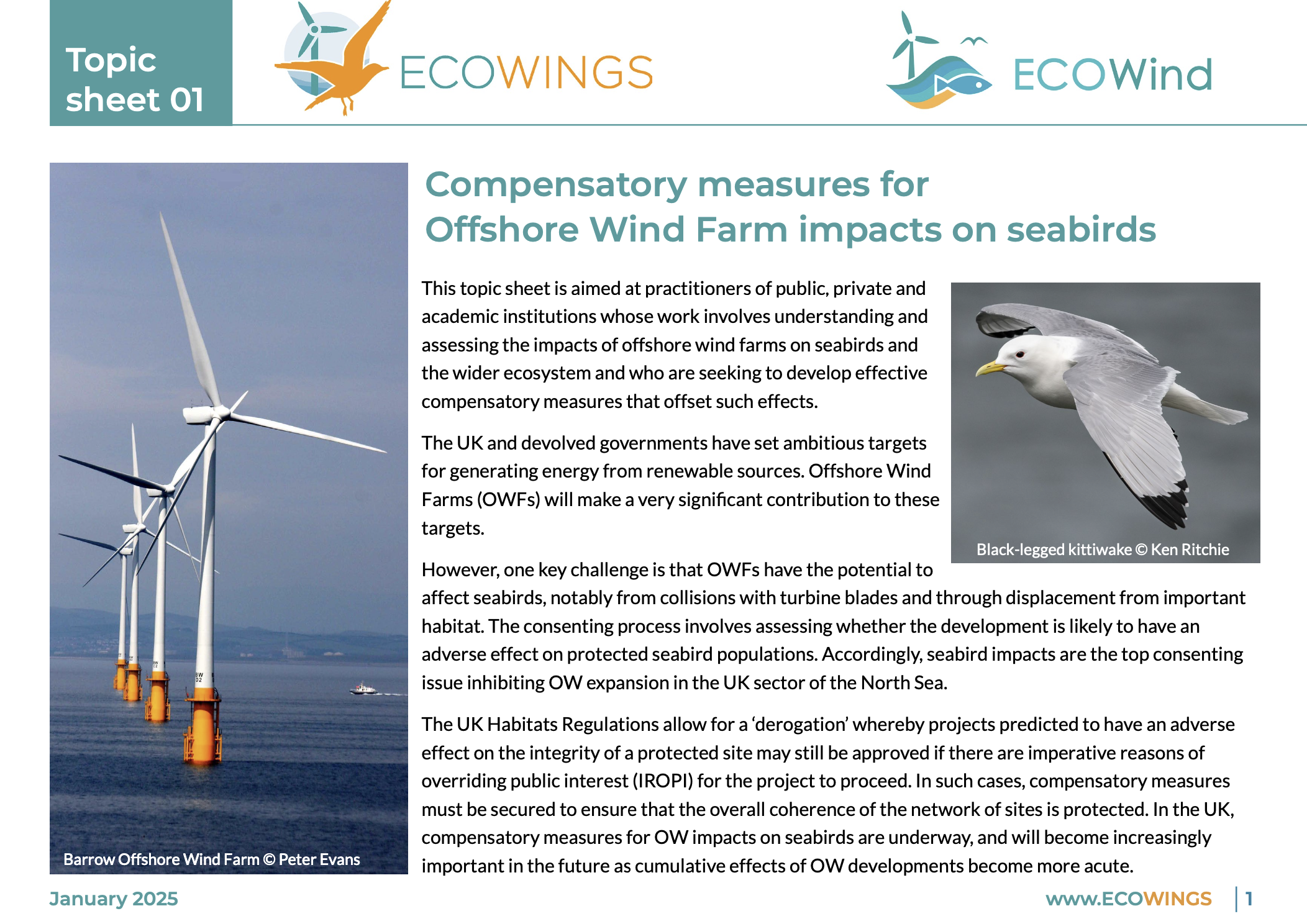 Compensatory measures for Offshore Wind Farm impacts on seabirds - ECOWind